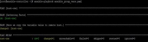 ansible group vars examples to implement ansible group vars