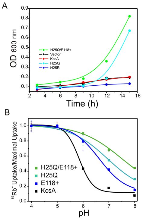 Macroscopic Functional Assays A Lb 2003 E Coli Strain Complementation