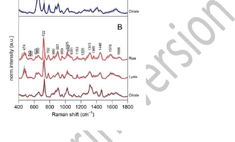 Comparison Between Average Normalized Sers Spectra Of Filtered Lysates