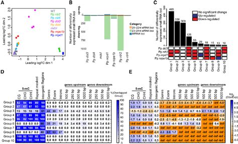 Differential Expression Analysis Of P Patens Small Rnas In Mutants