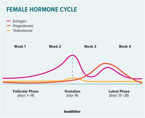 Female Monthly Cyclesyncro Systembg