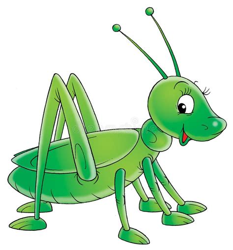 Green Grasshopper Stock Illustration Illustration Of Cartoon 1644206
