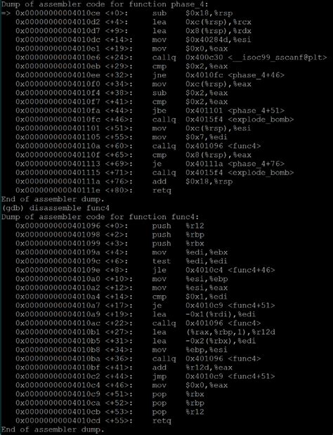 What Is The Expected Input For Phase4 Of The Binary