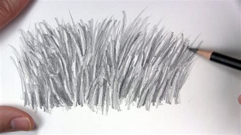 How To Draw Realistic Grass That S Ready To Be Seen Let S Draw Today