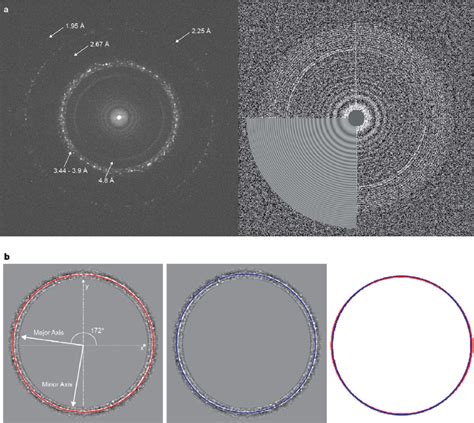 Alignment Of Titan Krios Microscope A Left Computed Diffraction Download Scientific Diagram