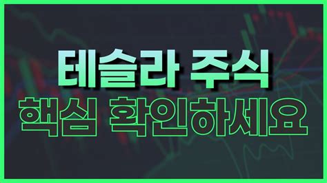 테슬라 로보택시 발표 전까지 이렇게 하세요 Youtube