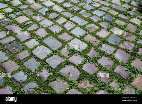 Cobblestone Pavers With Grass