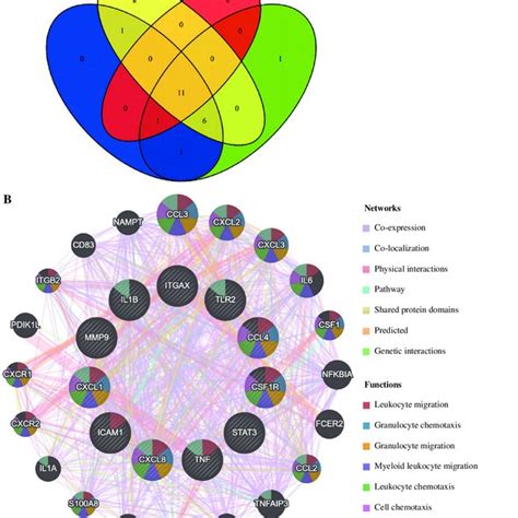Venn Diagram And Co Expression Network Of Hub Genes A Venn Diagram Download Scientific