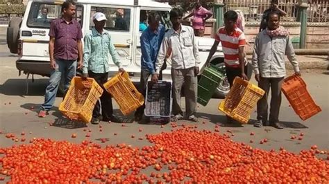 लहसुन के किसान मंडियों में छोड़ कर जा रहे अपनी फ़सल जानें क्यों ग्राउंड रिपोर्ट Bbc News हिंदी