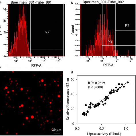 Facs Screening And Quantification Analysis Of The Expression Levels Of