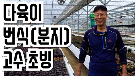 동형종 다육이 번식분지 어렵지 않아요~ 따라해보세요 Youtube