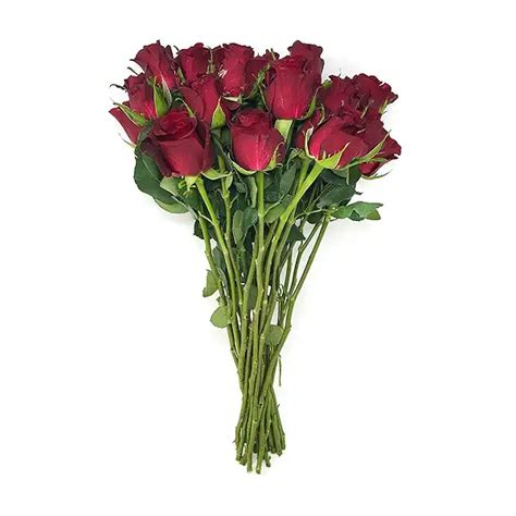 Rose 40cm 24 Stem At Whole Foods Market