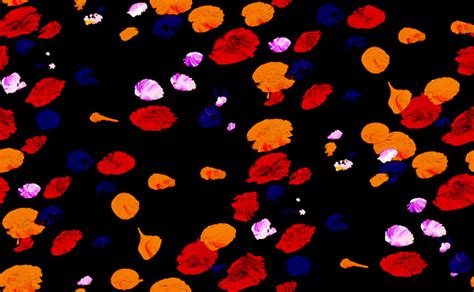 손 그려진된 초라한 페인트 자리 완벽 한 패턴입니다 헤더 배경 웹에 대 한 검은 배경에 스타일 색상 날 주제를 스케치 노랑에 대한 스톡 벡터 아트 및 기타 이미지 Istock