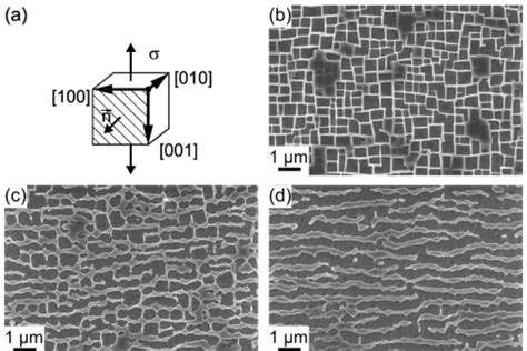 Exploring Single Crystal Superalloys The Future Of Nickel Based Materials Goldsupplier
