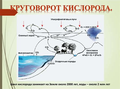 Круговорот веществ в биосфере, 10 класс - презентация онлайн