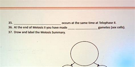 Solved 35 Occurs At The Same Tlme At Telophase Ii 36 At The End Of Melosis Il You Have Made
