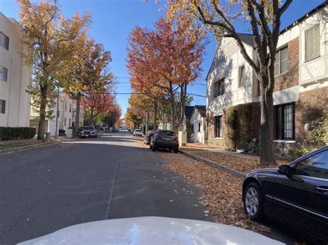 Holiday Yikes Too Im Lazy And Violet Ida Perfume Posse