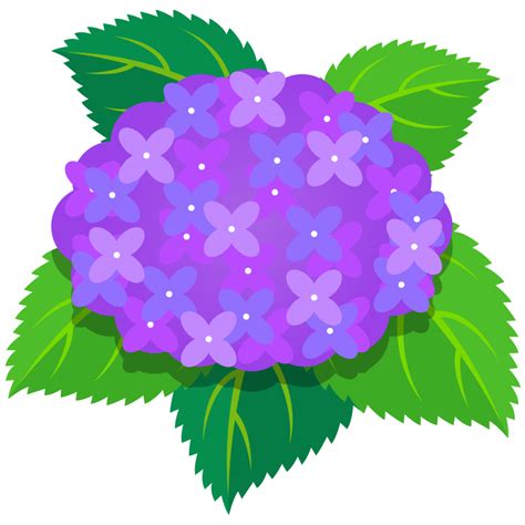 商用フリー・無料イラスト あじさいの花（紫陽花）紫 Ajisai01 商用ok フリー素材集「ナイスなイラスト」