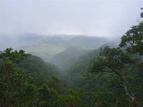 อุทยานแห่งชาติแม่โถ