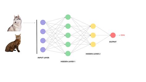 Hotspex Media Understanding The Neural Network