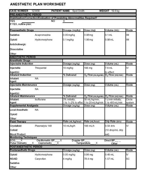 Anesthetic Plan Template