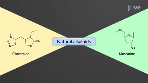 Direct Acting Cholinergic Agonists Chemistry And Structure Activity