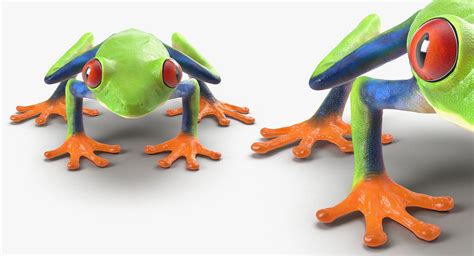 Frogs Rigged Collection 2 for Maya 3D Model $209 - .ma - Free3D
