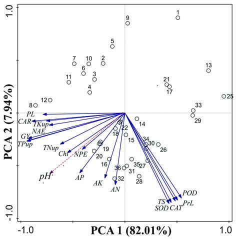 bi plot showing the first two variables of the principal component