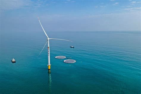 China Commissions First Offshore Floating Solar Plant Integrated With Wind Turbine Offshore Energy