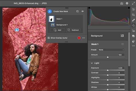 Apply Masking For Local Adjustments In Camera Raw