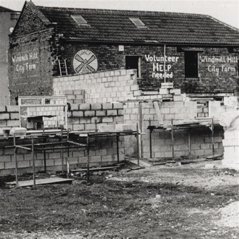 Remembering Mike Primarolo Windmill Hill City Farm
