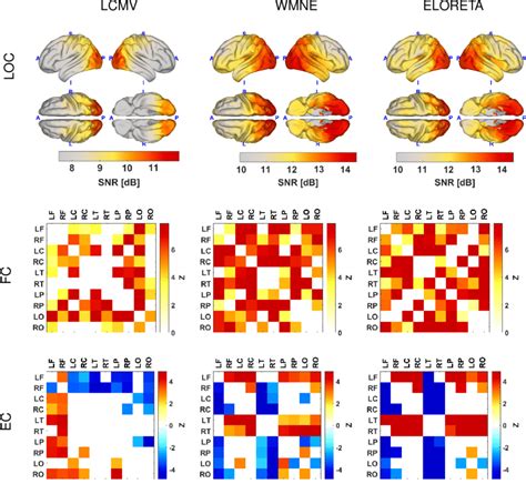 Grand Average Source Localization Loc Functional Fc And Effective