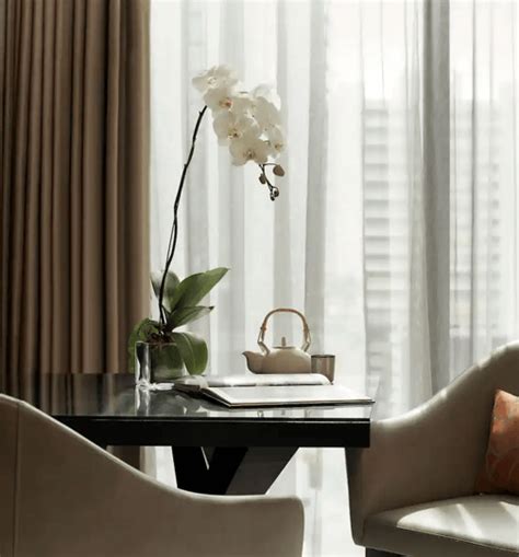 Automated Blinds For Homes Elevating Comfort And Efficiency