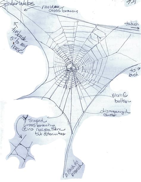 Liquid Triangle Naturally Inspired Structure Of A Spider Web