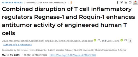Pnas：“组合拳”方法可使t细胞扩增至少10倍，有望提高car T细胞治疗实体瘤的疗效 研究 基因功能 疗法