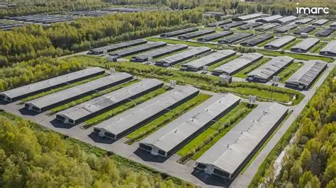 Optimizing Feed Conversion Ratio A Catalyst For Global Poultry Market