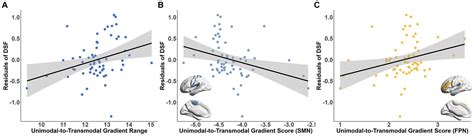Frontiers The Aging Trajectories Of Brain Functional Hierarchy And Its Impact On Cognition