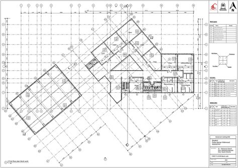 Advanced Working BIM Project On Behance