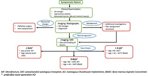 Algorithm For Management Of Full Thickness Cartilage Defects Download Scientific Diagram