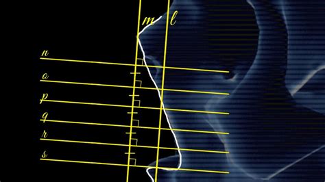 Real Life Example Of Parallel And Perpendicular Lines