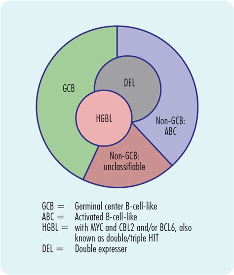 What Is Triple Hit Lymphoma At Brian Phelps Blog