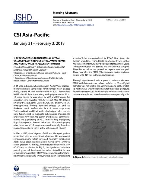 Pdf Transcatheter Intervention For Paravalvular Leak In Mitroflow
