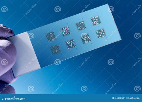 Biochip Stock Image Image Of Glove Identity Microarrayer