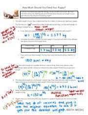 U Day Inverse Functions Class Notes Key Pdf How Much Should You Feed Your Puppy Calories