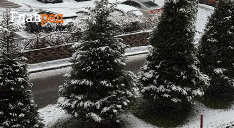 Погода в Києві прогноз на сьогодні та попередження від синоптиків Главред