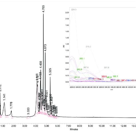 Lc Pda Ms Chromatogram At 260 Nm Of Pomegranate Water Leaves Extract