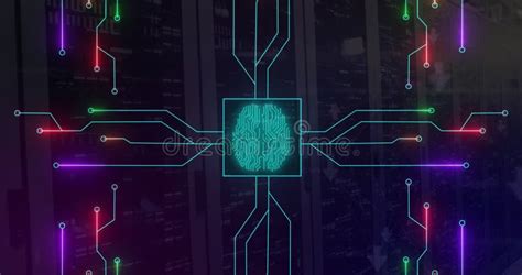 Animation Of Neon Network Of Connections With Digital Brain Over Server Room Stock Footage