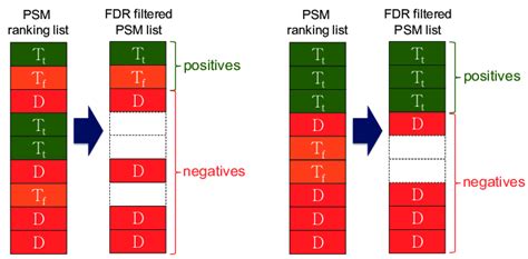 Schematic Illustration Of Psm List On Creating Training Dataset A