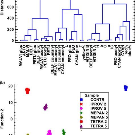 Dendrogram Grouping Variables According To The Squared Euclidean
