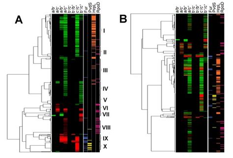 Clustering Of Transcripts Based On Patterns Of Differential Expression